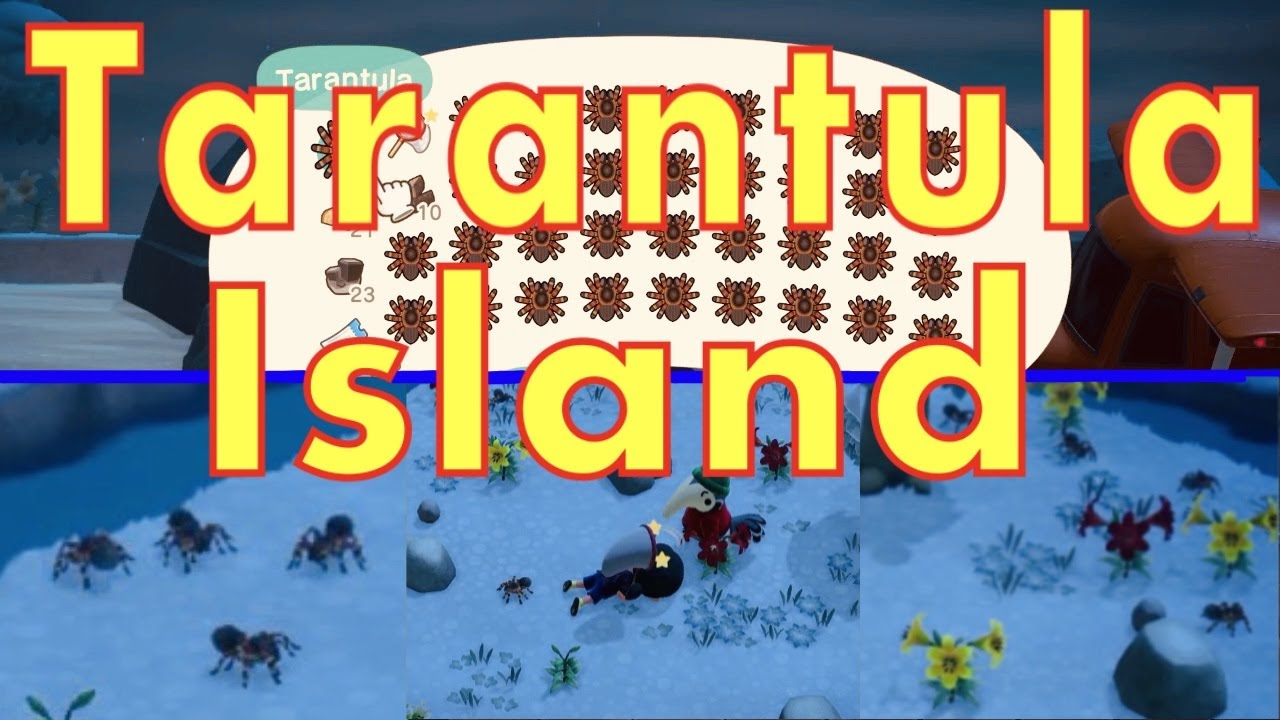 [ACNH] Landed on Tarantula Island while Villager Hunting! Gotta catch ...