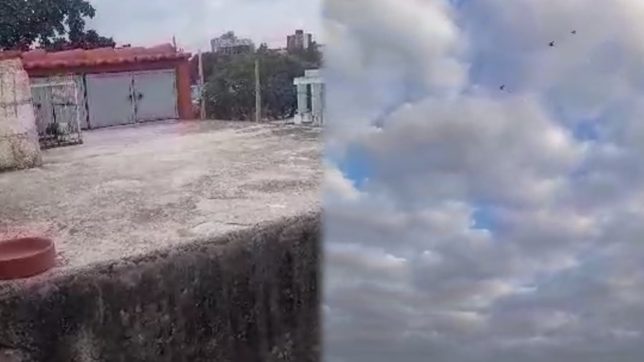 Un pichon trabajando con las palomas ,no se concreto pero lo hiso super ...