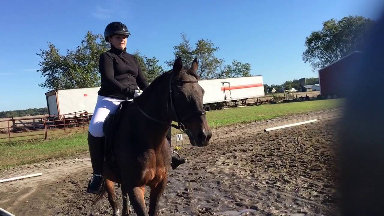 Molly Gruberg and Flynn McGee Training 2, NAWD - YouTube