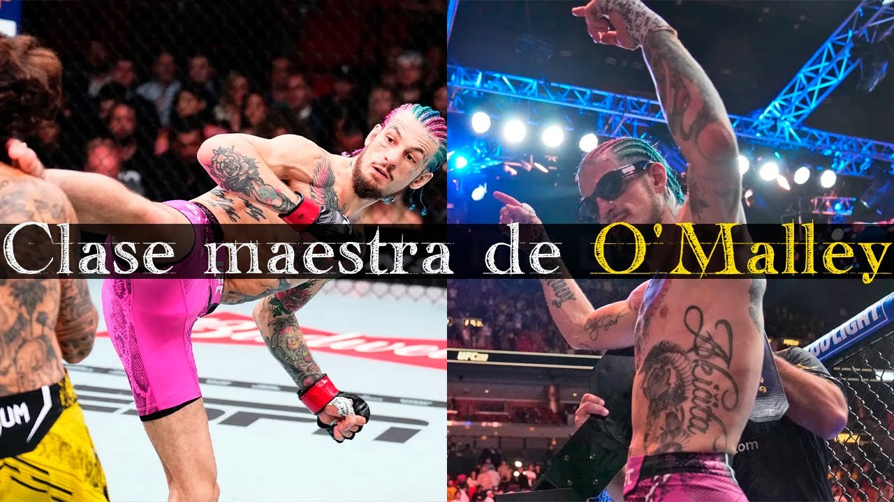 La mejor presentación de O'Malley - YouTube