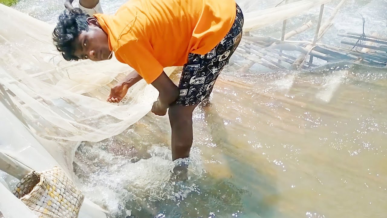 Desi Machali Dhar 🐟 raha hai😀 - YouTube