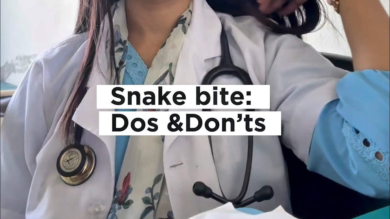 Snake bite:Dos and don’ts | All about snake bite - YouTube