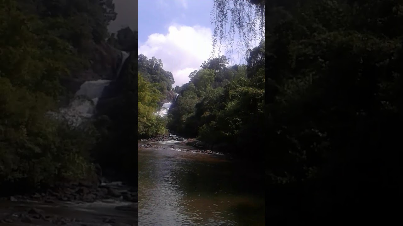 The Beauty Bopath Ella - YouTube