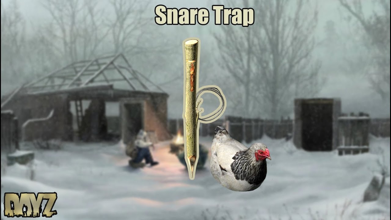 DayZ - Snare Trap - YouTube