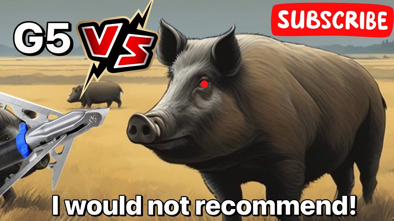 Bow hunting hogs in Central Florida, G5 mega meat review will it work ...