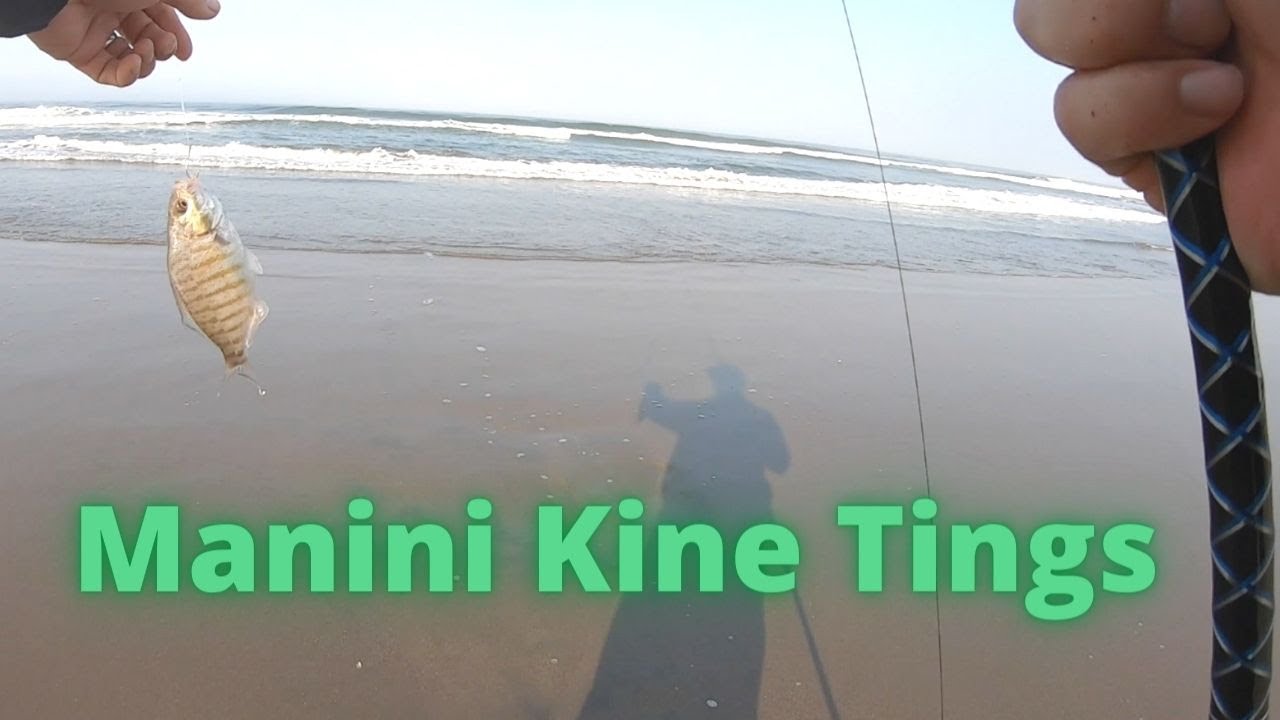 Catching Manini Kine Fish - YouTube