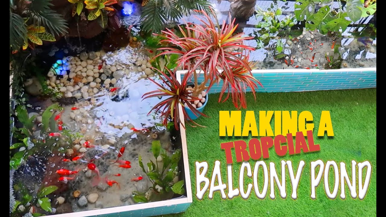 Easy pond hacks to transform your balcony into a water garden paradise ...