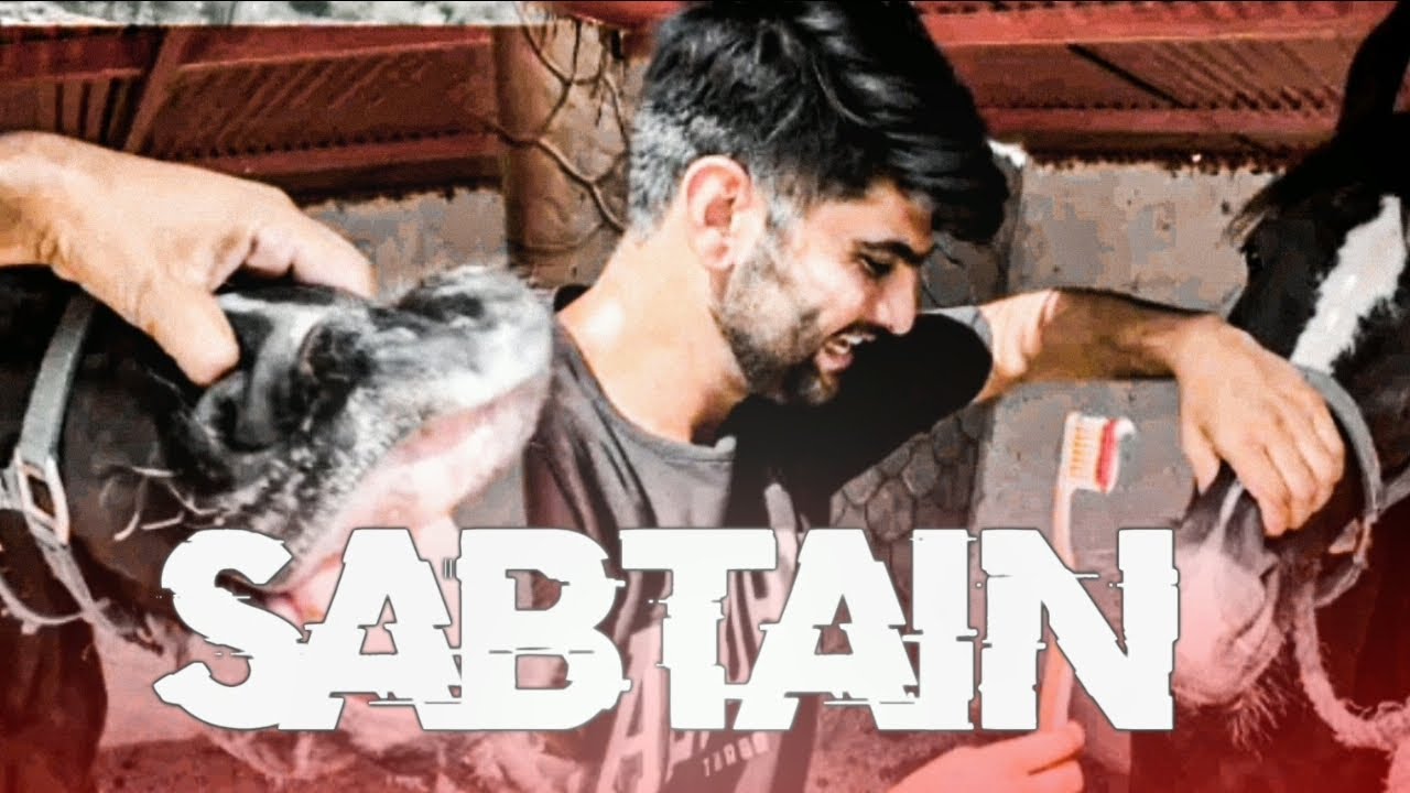 SABTAIN Funny 🤣 edit video t. sher Mae dehat ️ - YouTube