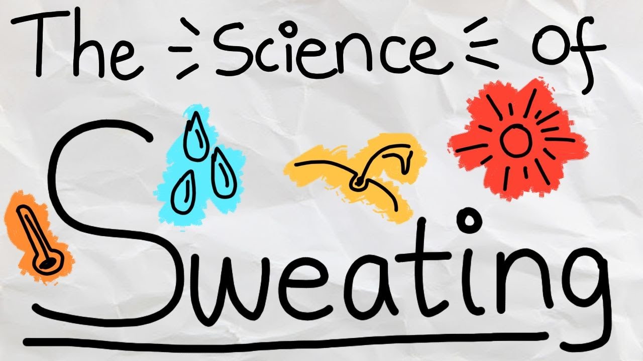 Why is Sweating Our Superpower? - YouTube