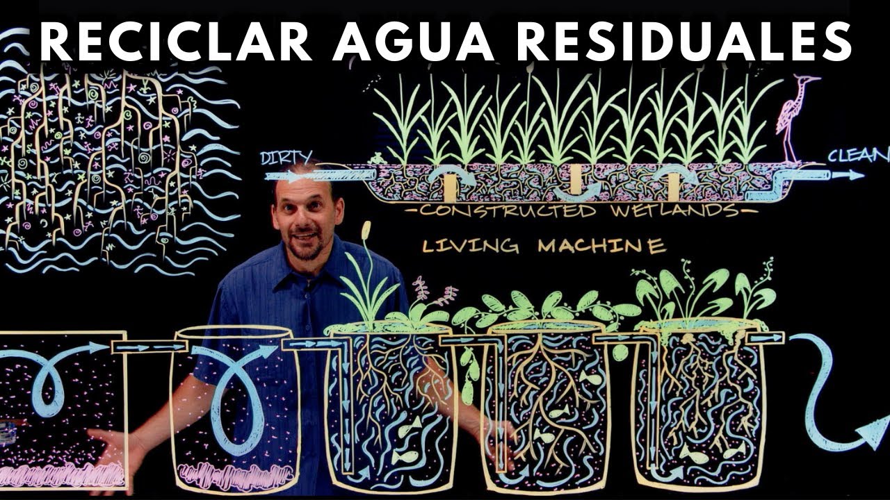 Cómo Reciclar Agua Usando Plantas - YouTube