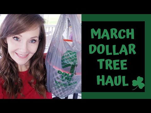 Dollar Tree Haul March 12, 2020 - YouTube
