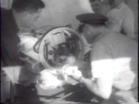 Space Monkeys Able and Baker - YouTube