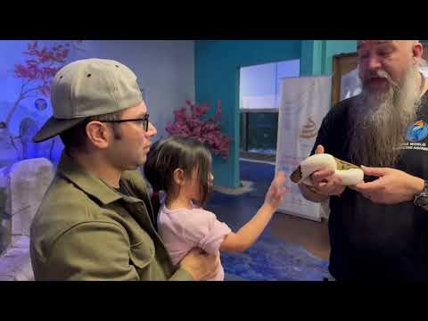 Exploring One World Interactive Aquarium (formerly SeaQuest)