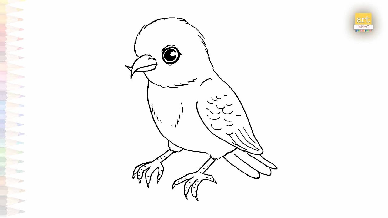 Crossbill bird drawings easy | Art tutorial | How to draw A Crossbill ...