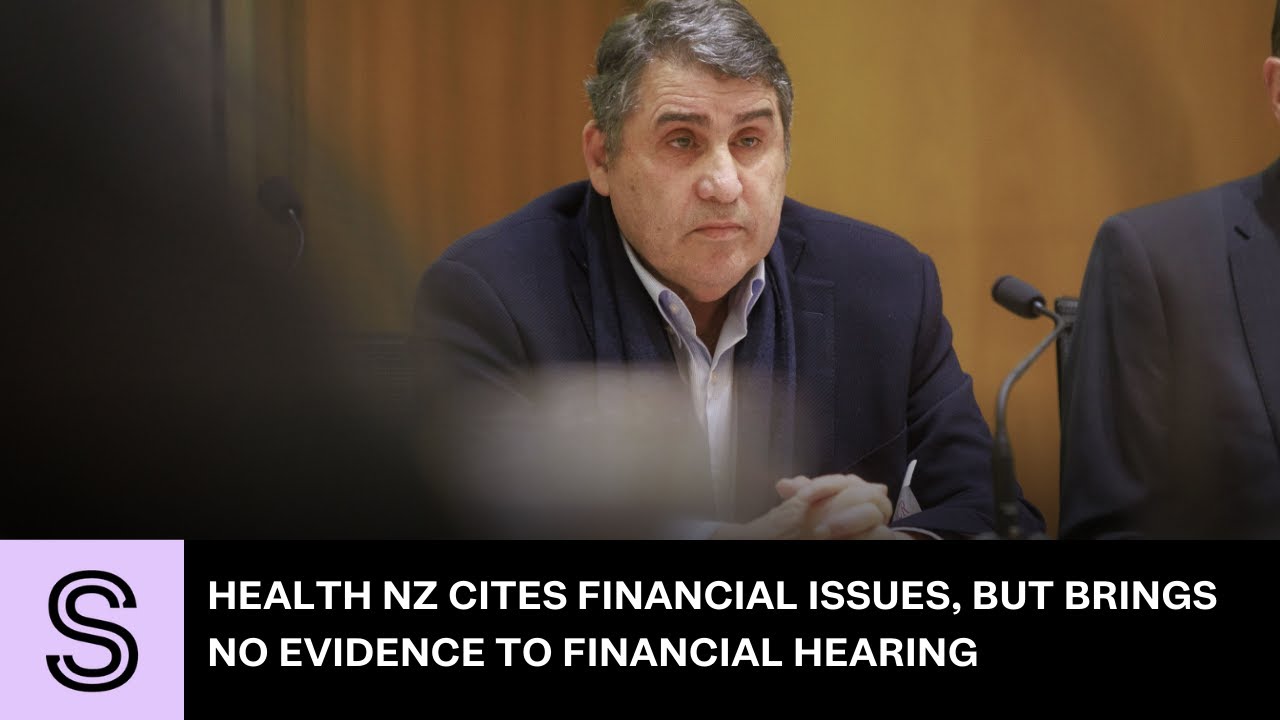 'Cocktail of issues': What has Lester Levy achieved for Health NZ thus ...