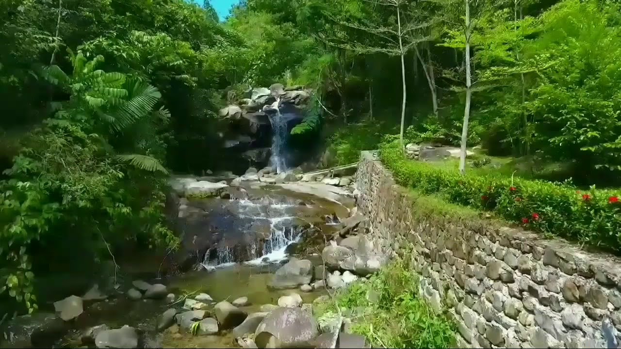 AERIAL videos DRONE || BIFA COTTAGE PADANG - YouTube