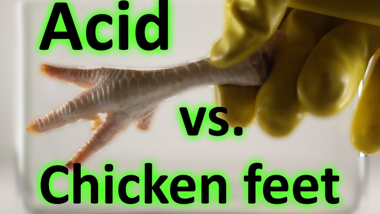 Acid vs. Chicken Wings and Feet decomposition | AcidTube - Chemical ...