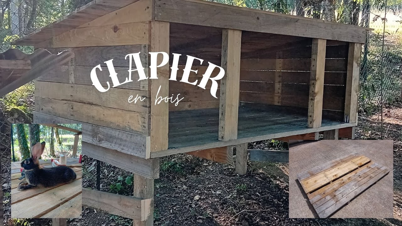 Comment construire un clapier en bois de palette? (idées et astuces)😉🛠️ ...