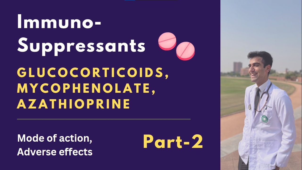 Immunosuppressants part 2, Glucocorticoids, Azathioprine, Mycophenolate ...