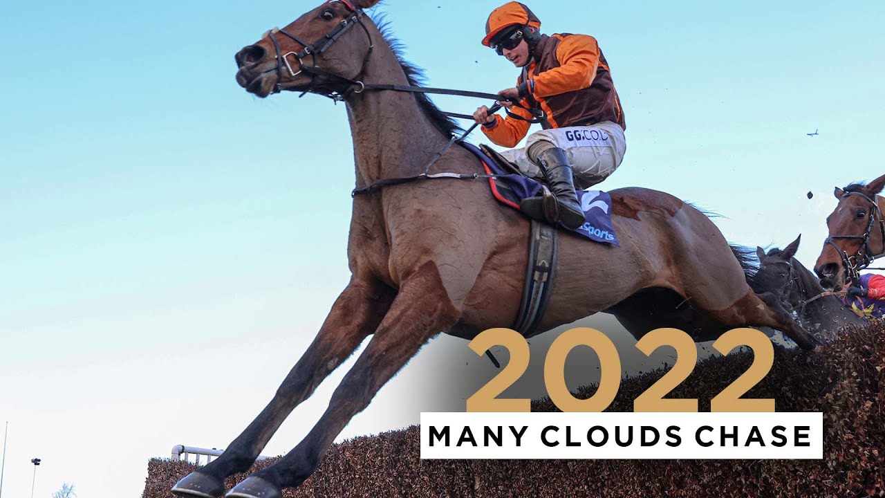 HE'S DONE IT AGAIN! GRAND NATIONAL WINNER NOBLE YEATS WINS THE MANY CLOUDS CHASE - YouTube