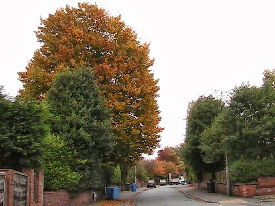 Salford Higher Broughton 2013 by Roy West - YouTube