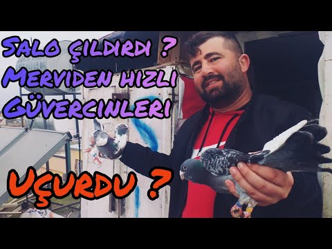 Mermiden Hızlı ! [ Çıldırmış Olmalı ] Adana