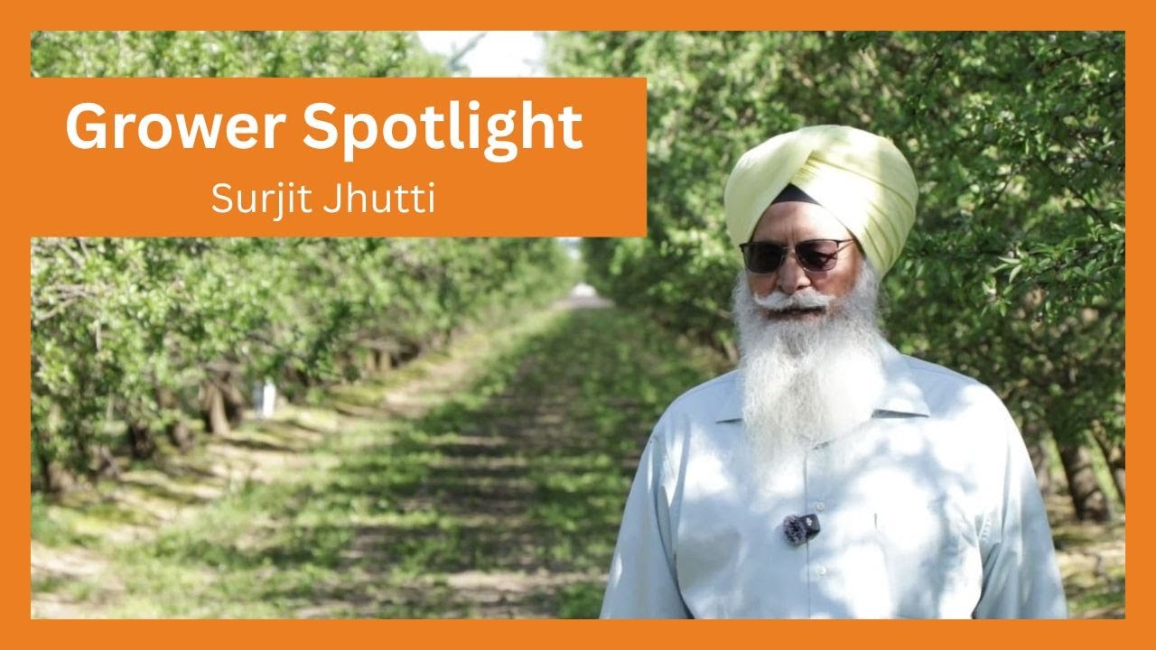 Grower Spotlight with Surjit Jhutti - YouTube