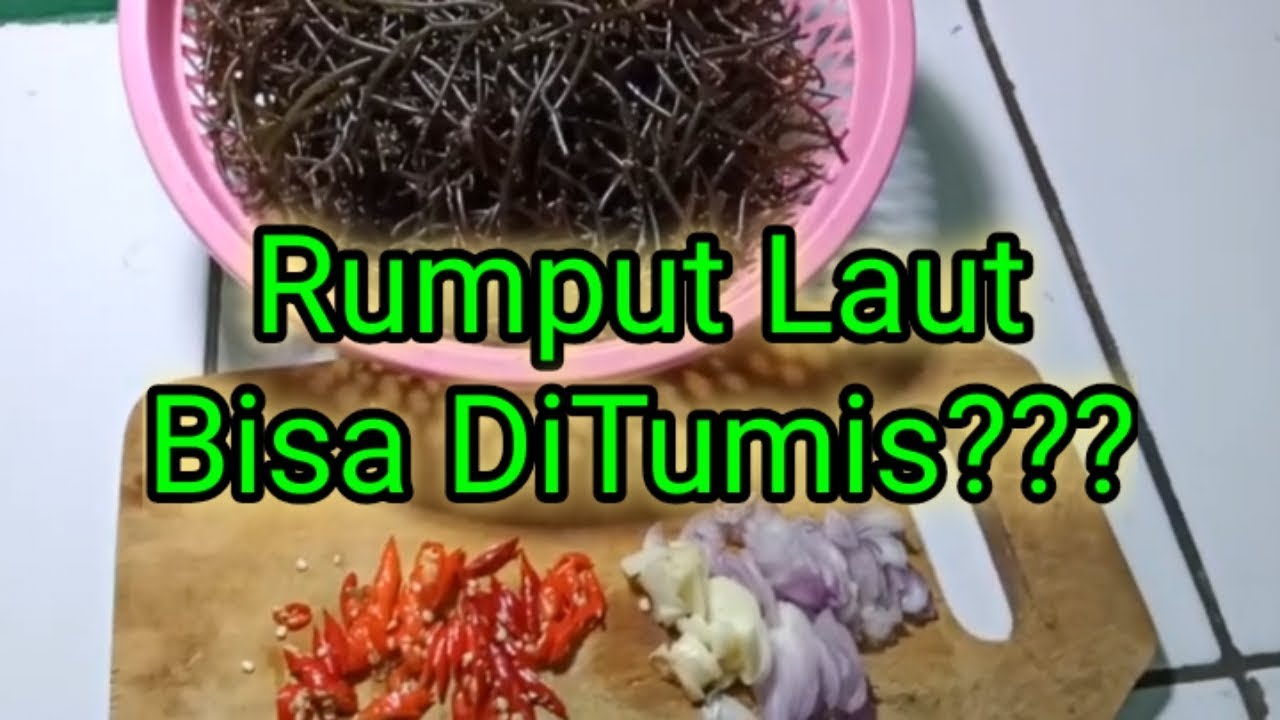 Tutorial Masak Tumis Rumput Laut - YouTube
