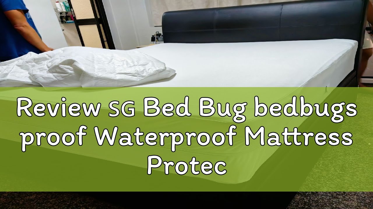 Review 🇸🇬 Bed Bug bedbugs proof Waterproof Mattress Protector with zip ...