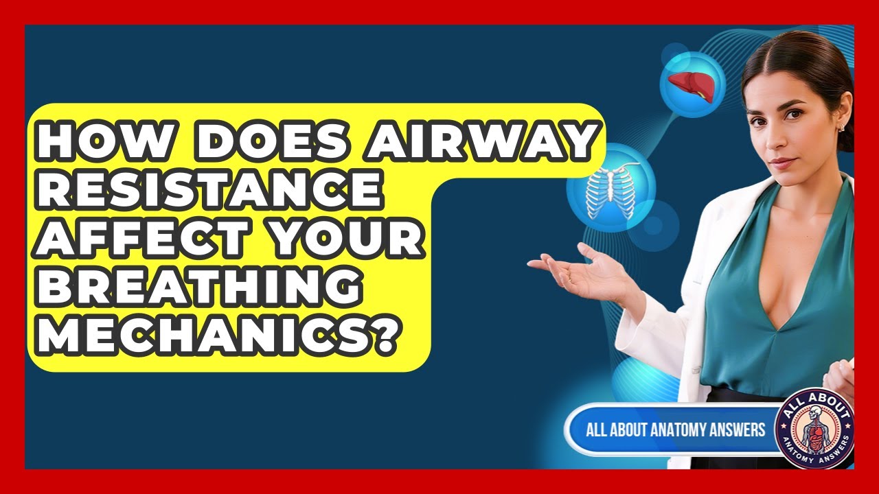 How Does Airway Resistance Affect Your Breathing Mechanics? - All About ...