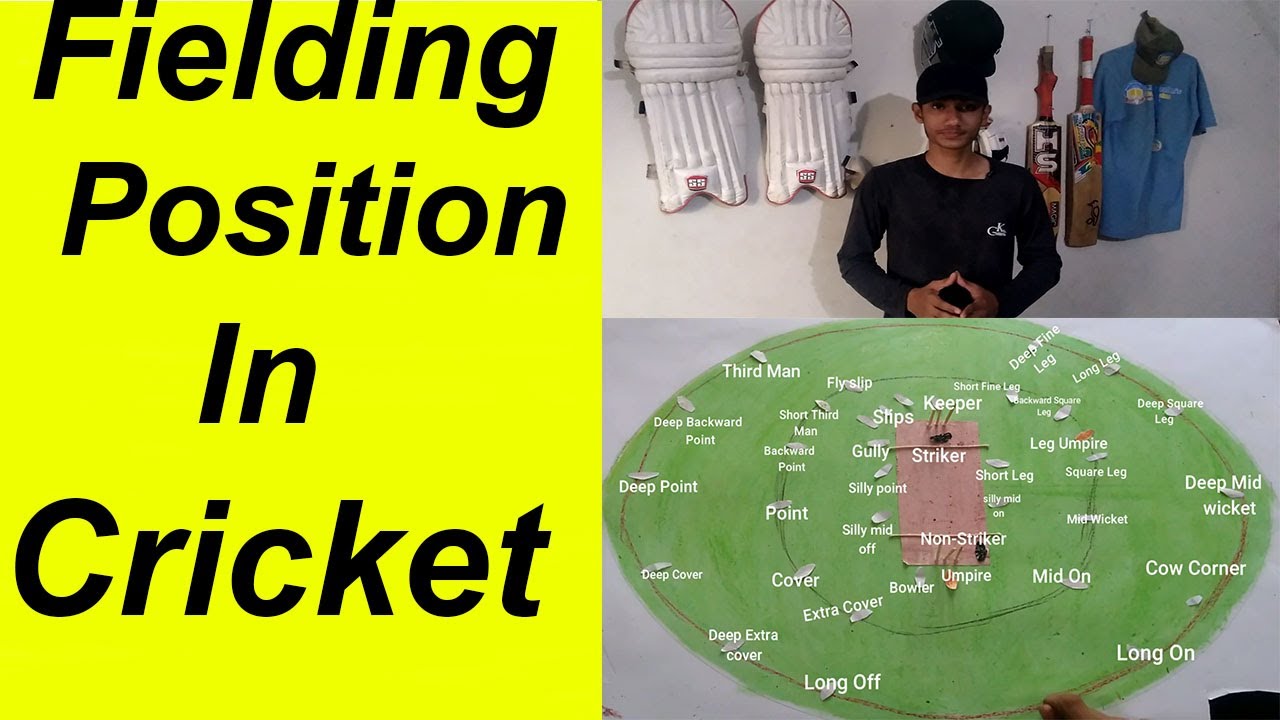 Fielding Position In Cricket || Cover / Extra Cover / Fine Leg ...