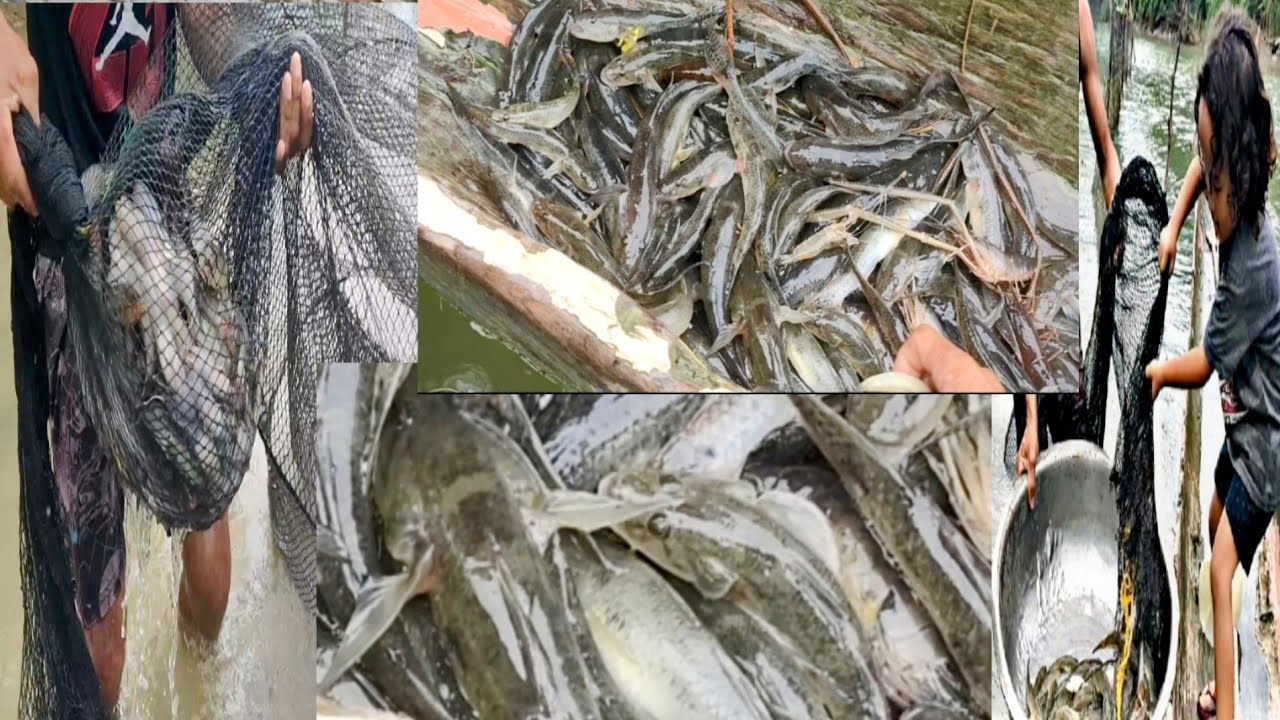 EP433-DAHIL SA BAHA ISDANG BIYA TULOY TULOY ANG PAGSUBA - YouTube