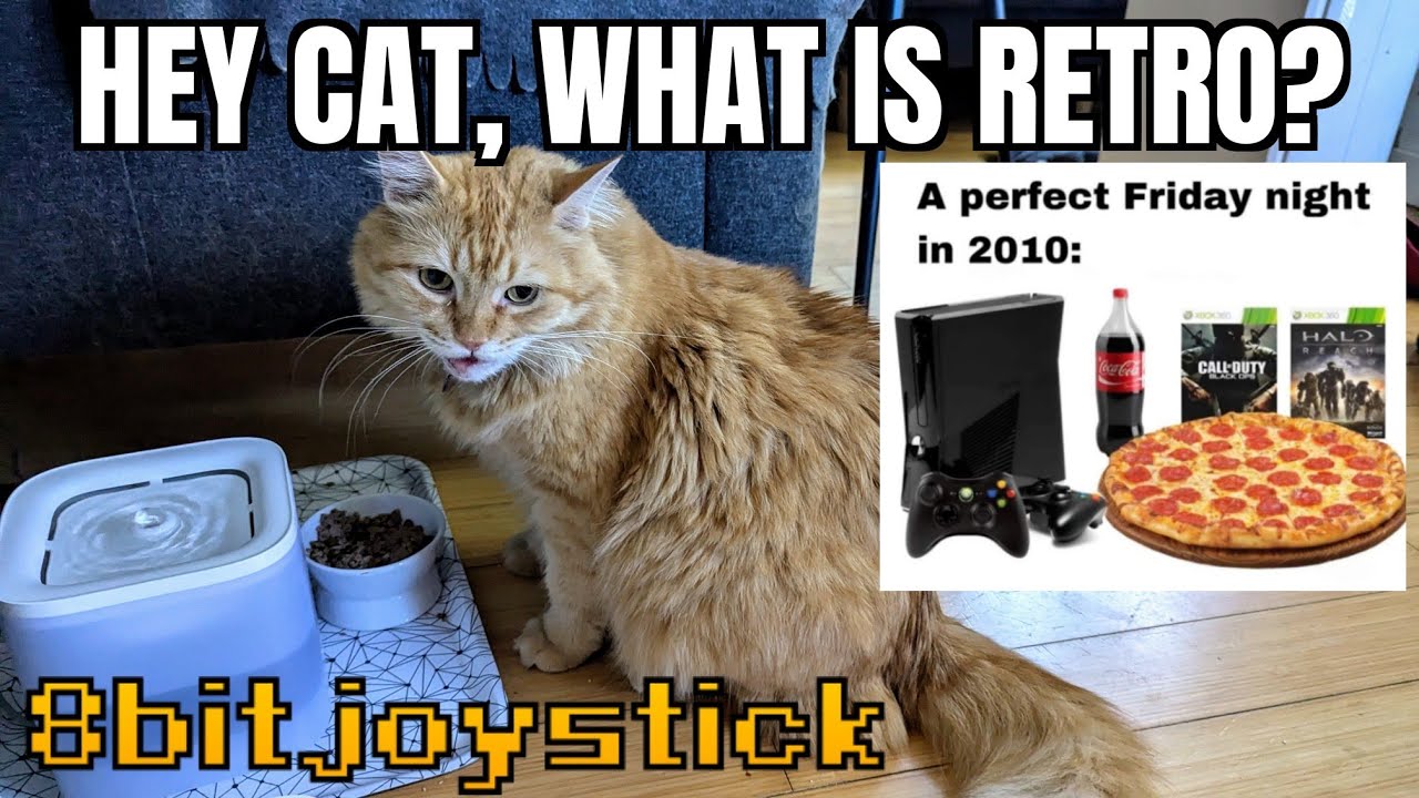Vlog: Is the Xbox 360 "retro" yet? Hey cat 😺! - YouTube