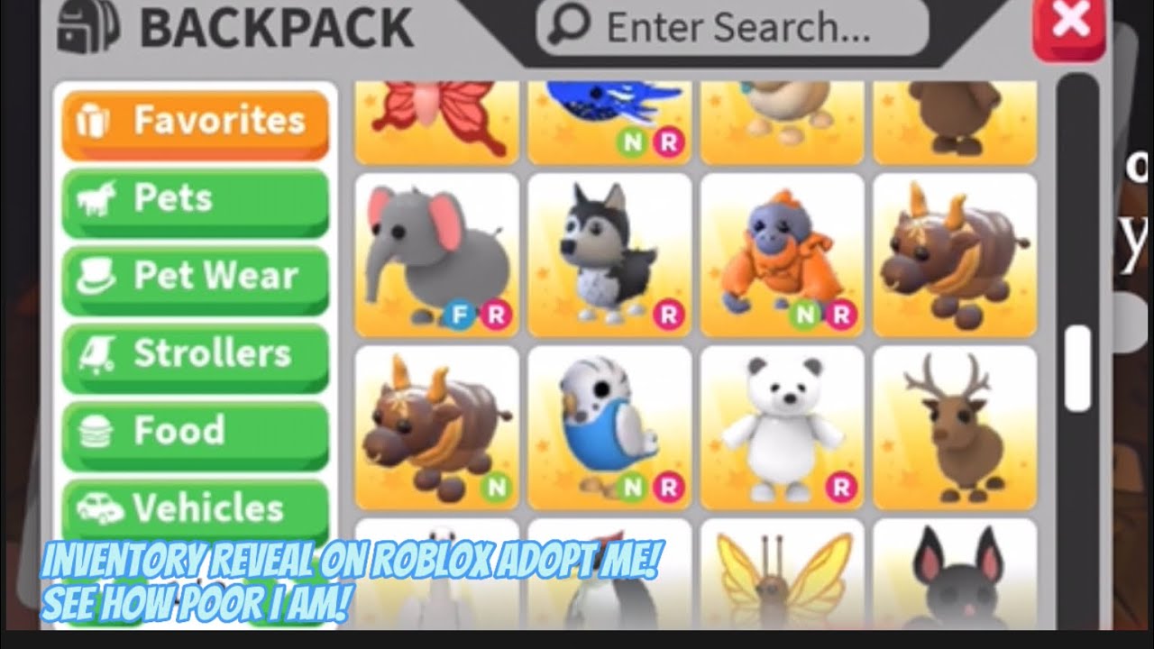 My Adopt Me Inventory Reveal - Month of August 2022 - YouTube