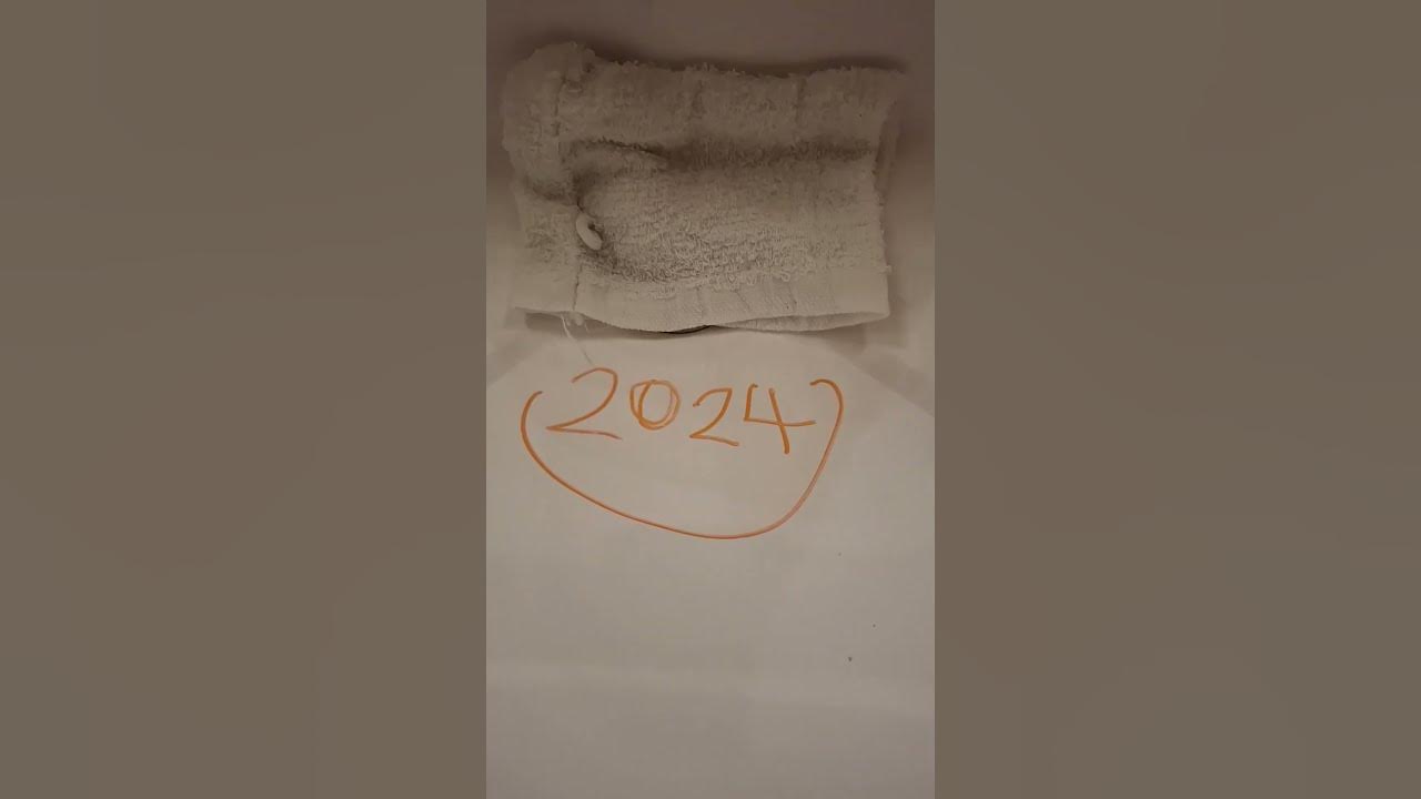 Au revoir 2024 R.I.P - YouTube