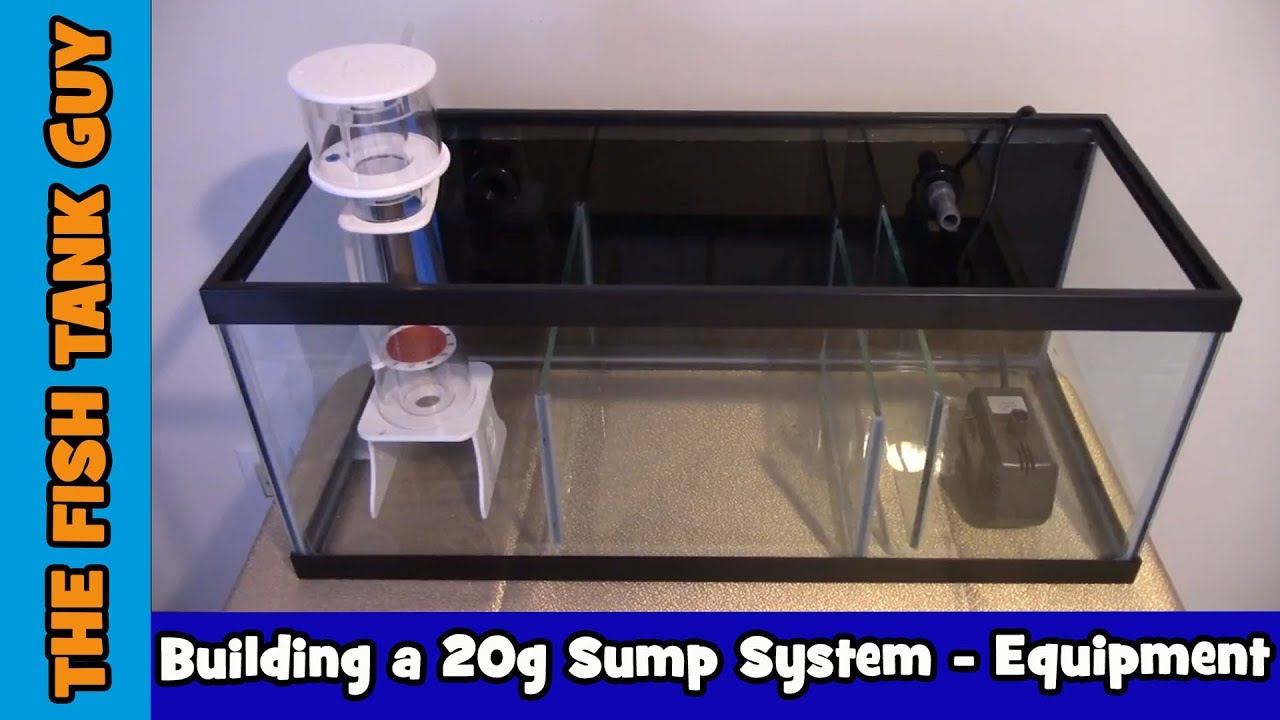 Building A 20G Sump System (Equipment) - YouTube