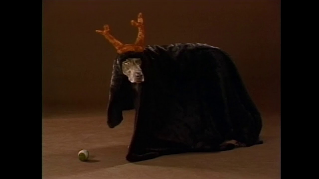 Sesame Street - Fay Ray - Animal disguises (HQ) - YouTube