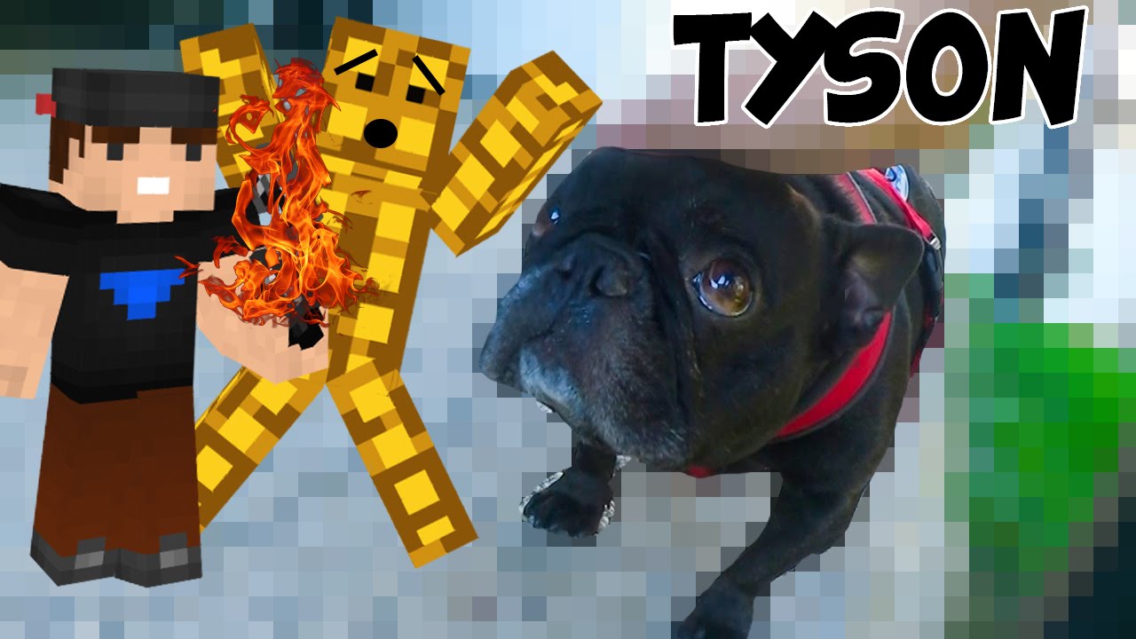 DA IST TYSON IN MASTER BUILDERS! - YouTube