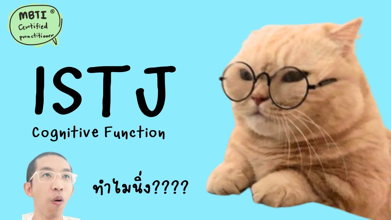 ISTJ : Cognitive Function ฉบับเข้าใจง่าย : ilovetoday วันนี้ดีที่สุด ...