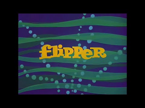 Flipper - 4k - Opening credits - 1964-1967 - NBC - YouTube