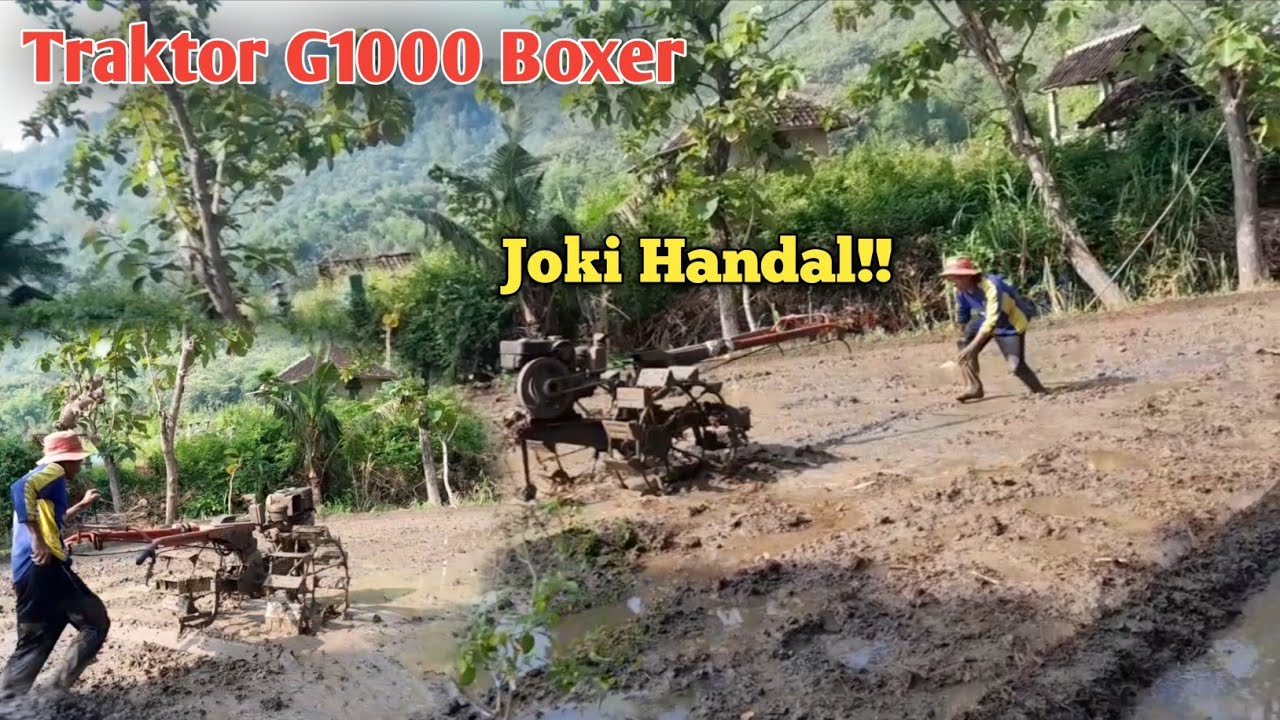 Traktor G 1000 BOXER ||Diesel Dompeng Tenaga Badak!!! - YouTube