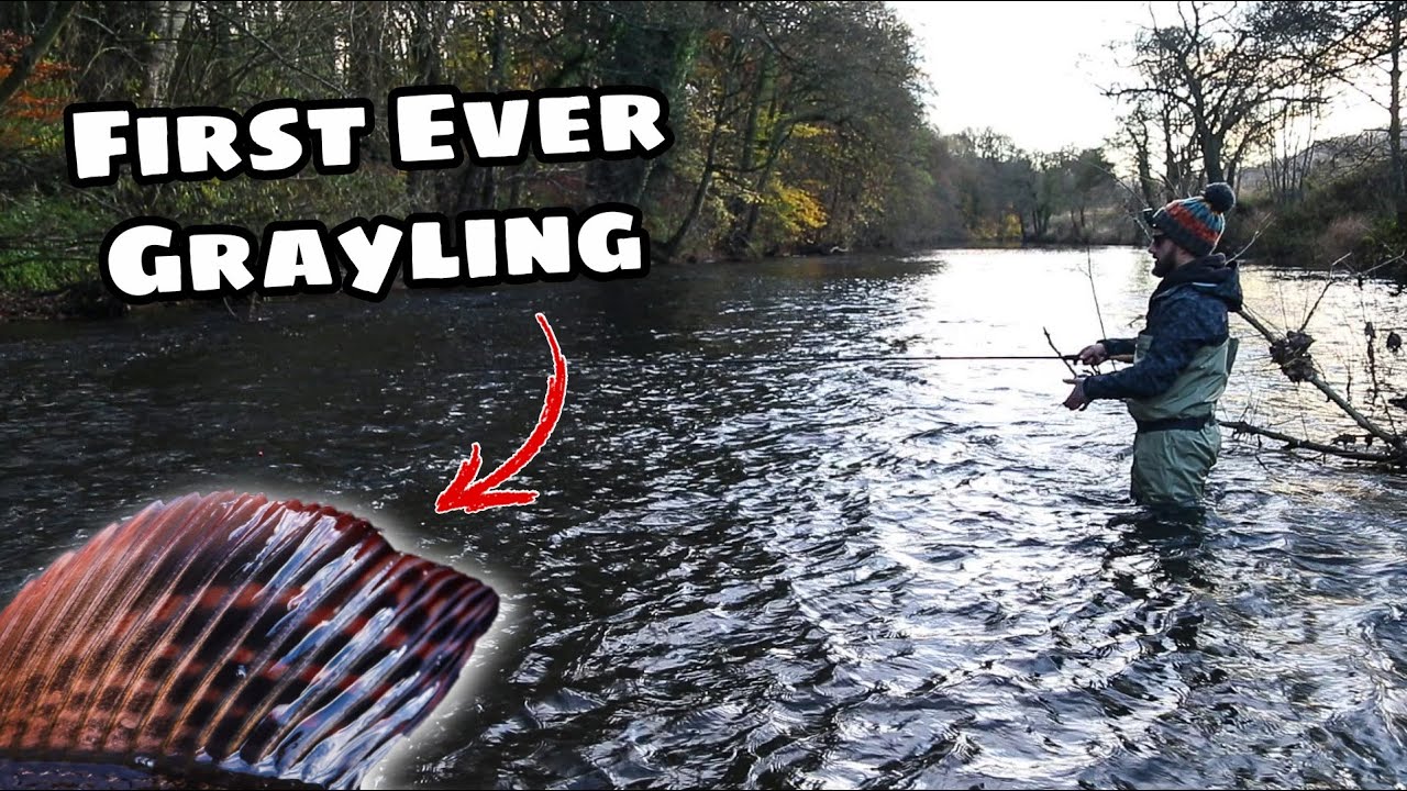 Grayling Fishing - A day in the River - YouTube