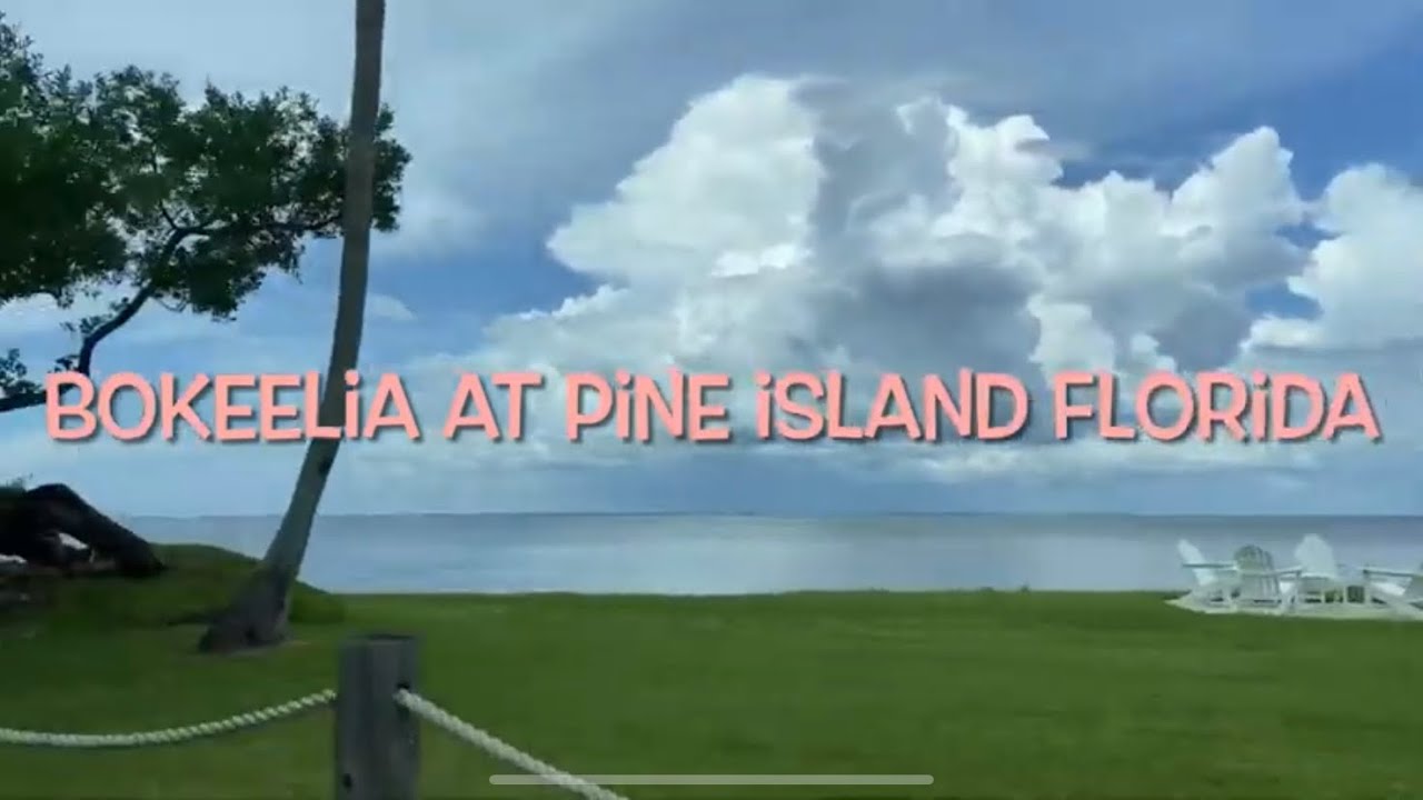 Bokeelia at Pine Island Florida @lifeeusa Hawaii feels - YouTube