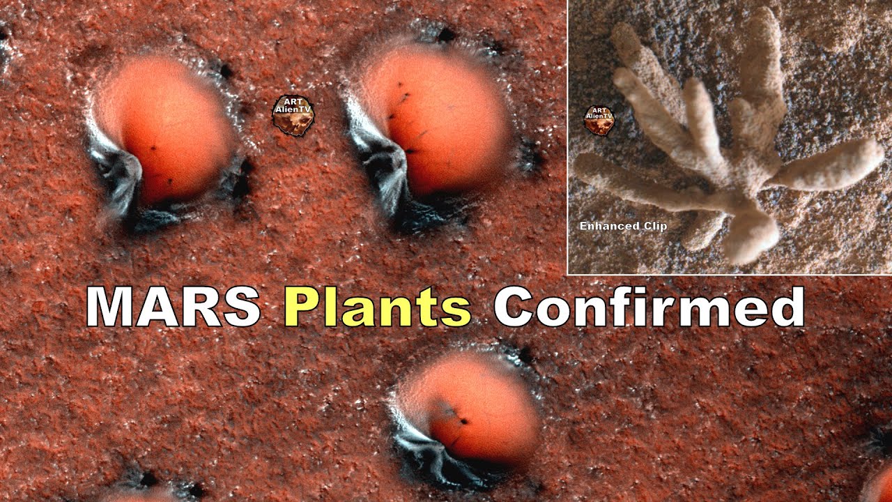 MARS Plants Confirmed. NASA Leaks Disclosure ! ArtAlienTV - YouTube
