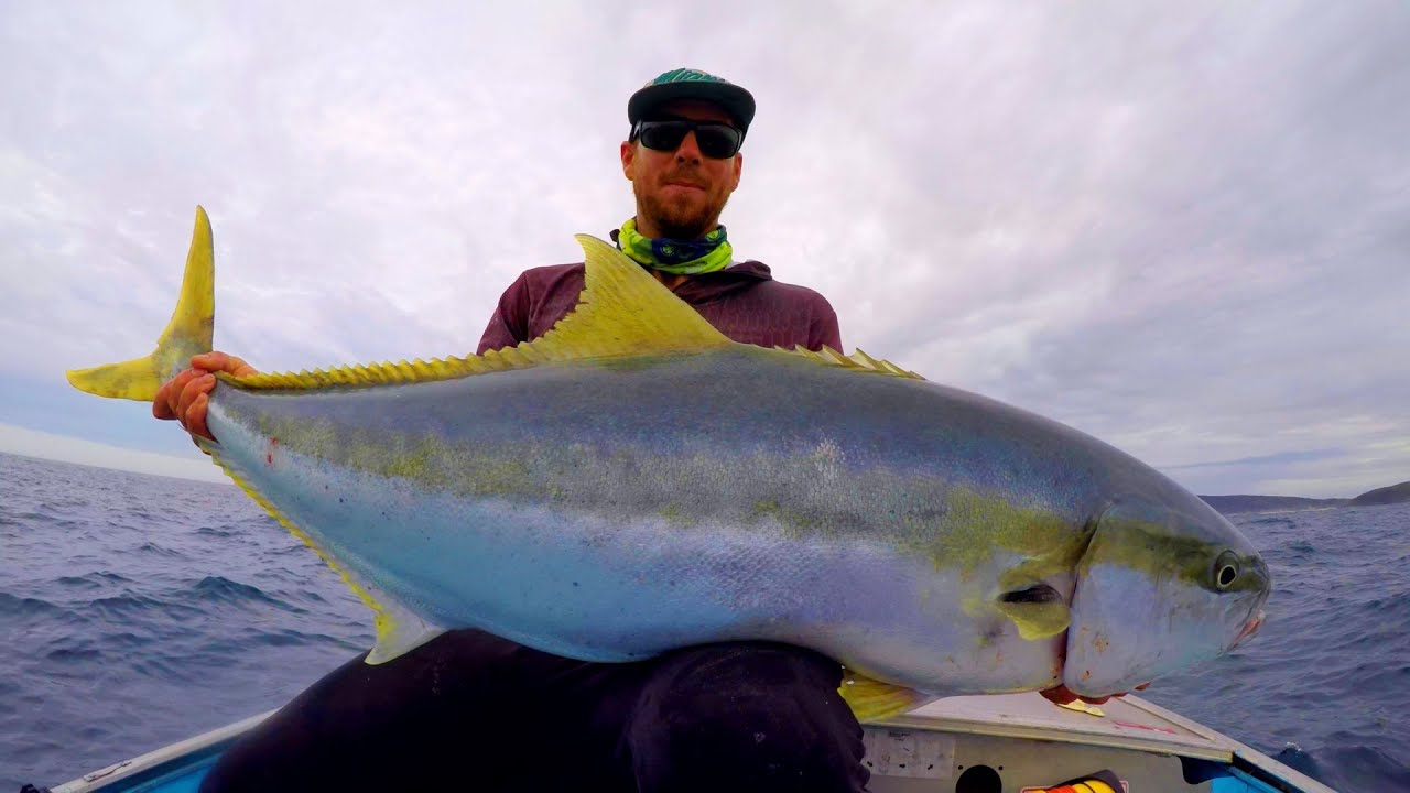 BIG FISH in a tiny boat Ep30 - YouTube