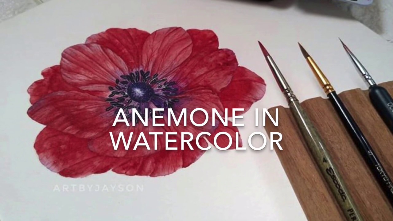 Process Video | Anemone in Watercolor - YouTube