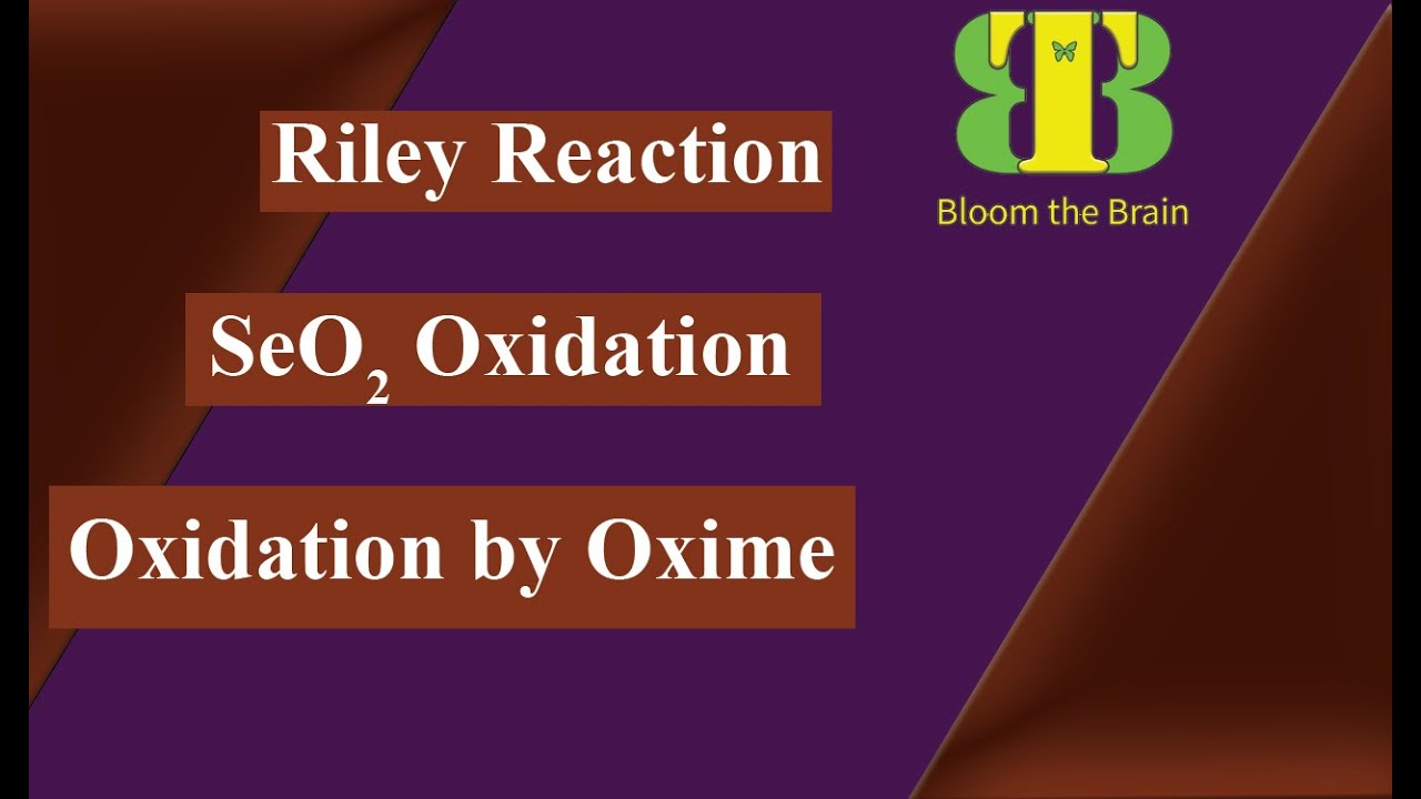 Oxidation of Activated C-H Bond l Riley Reaction l Bloom the Brain ...
