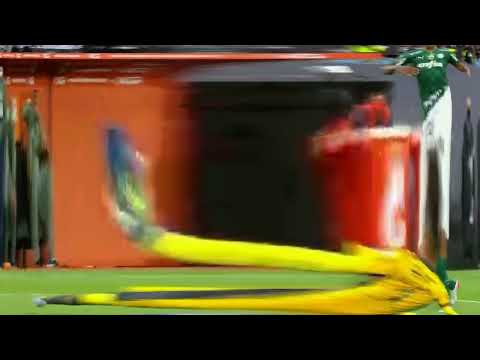 Gol do deyverson final da libertadores (voz distorcida)