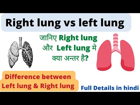 Right Lung vs Left Lung |जानिए दोनो फेफड़ों मे क्या अन्तर है?Difference ...