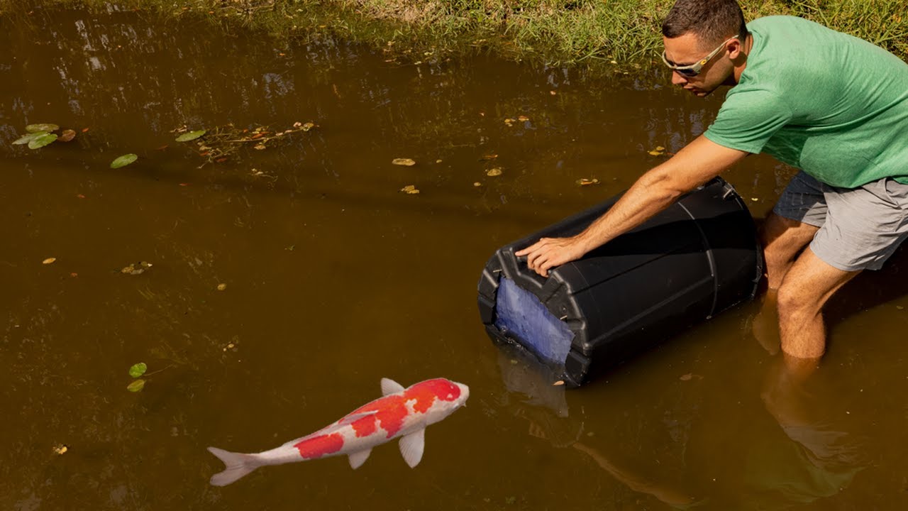 FISH TRAP CATCHES POND MONSTER - YouTube